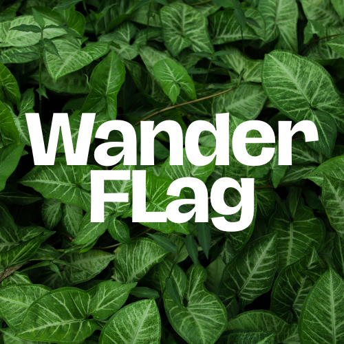 Blog - Wander Flag